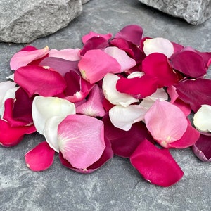 Rose Petals, Romance Blend, All Natural and Biodegradable, Freeze Dried ...