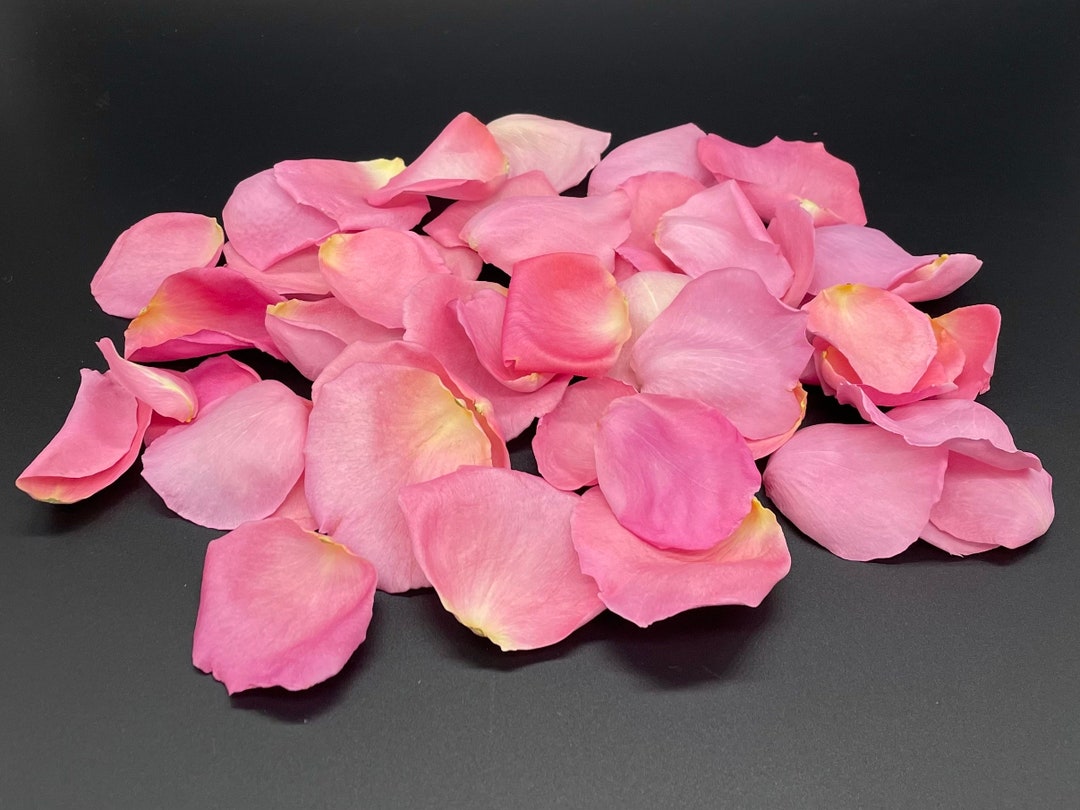 Freeze Dried Rose Petals, Pink, REAL Rose Petals, Perfectly Preserved ...