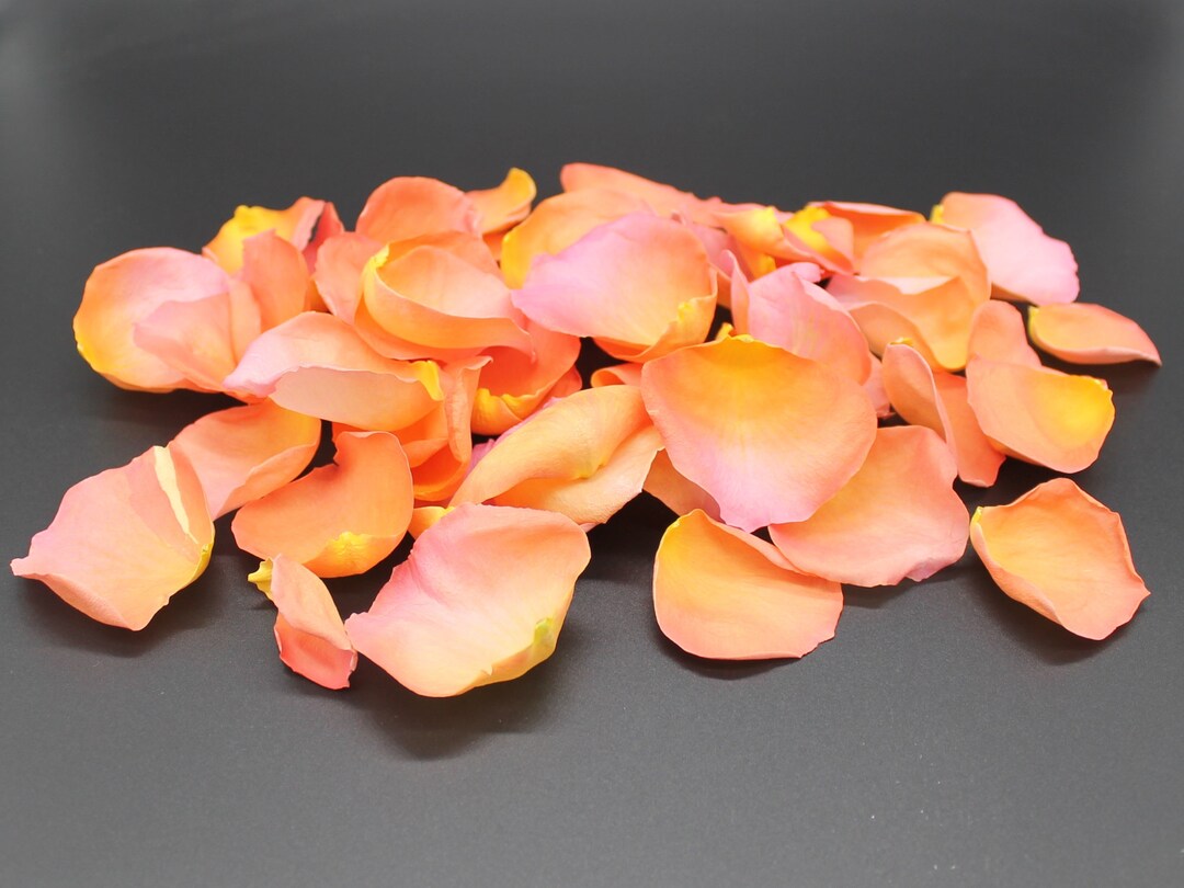 Rose Petals, Crushing on Coral, REAL Freeze Dried Rose Petals, All ...
