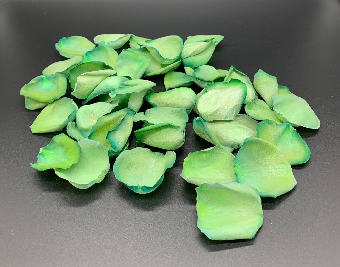 Freeze Dried Rose Petals, Green, REAL Rose Petals, Perfectly Preserved ...
