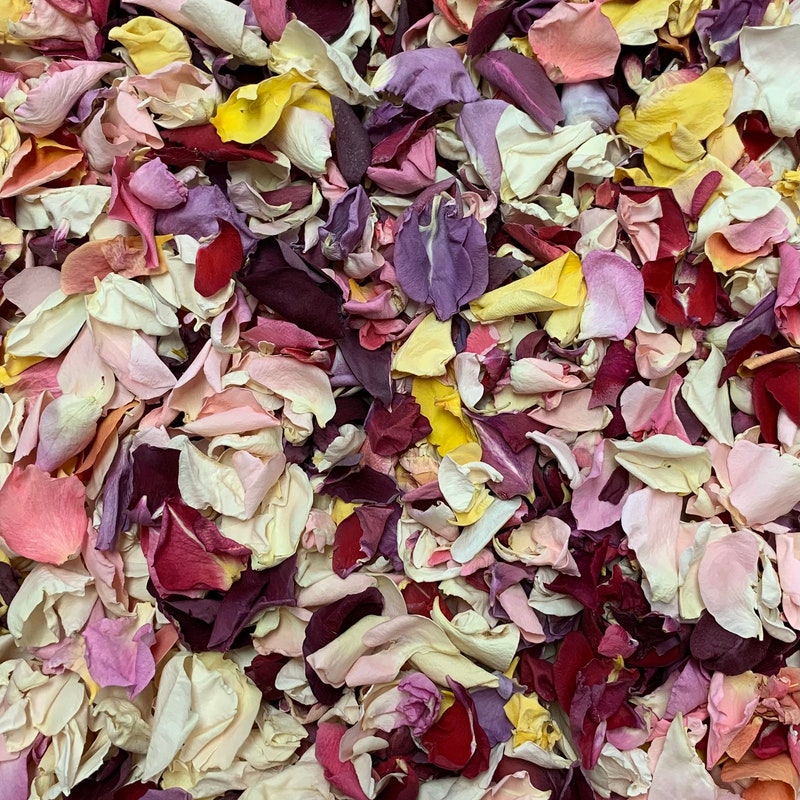 Biodegradable Confetti - Etsy