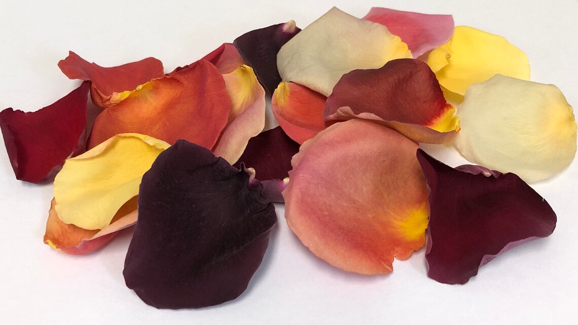 Freeze Dried Rose Petals Falling in Love Blend REAL Rose - Etsy
