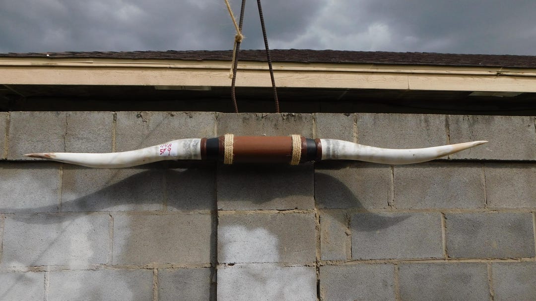 STEER Cow Skull Texas Skull Mounted Polished Horns 448 - Etsy