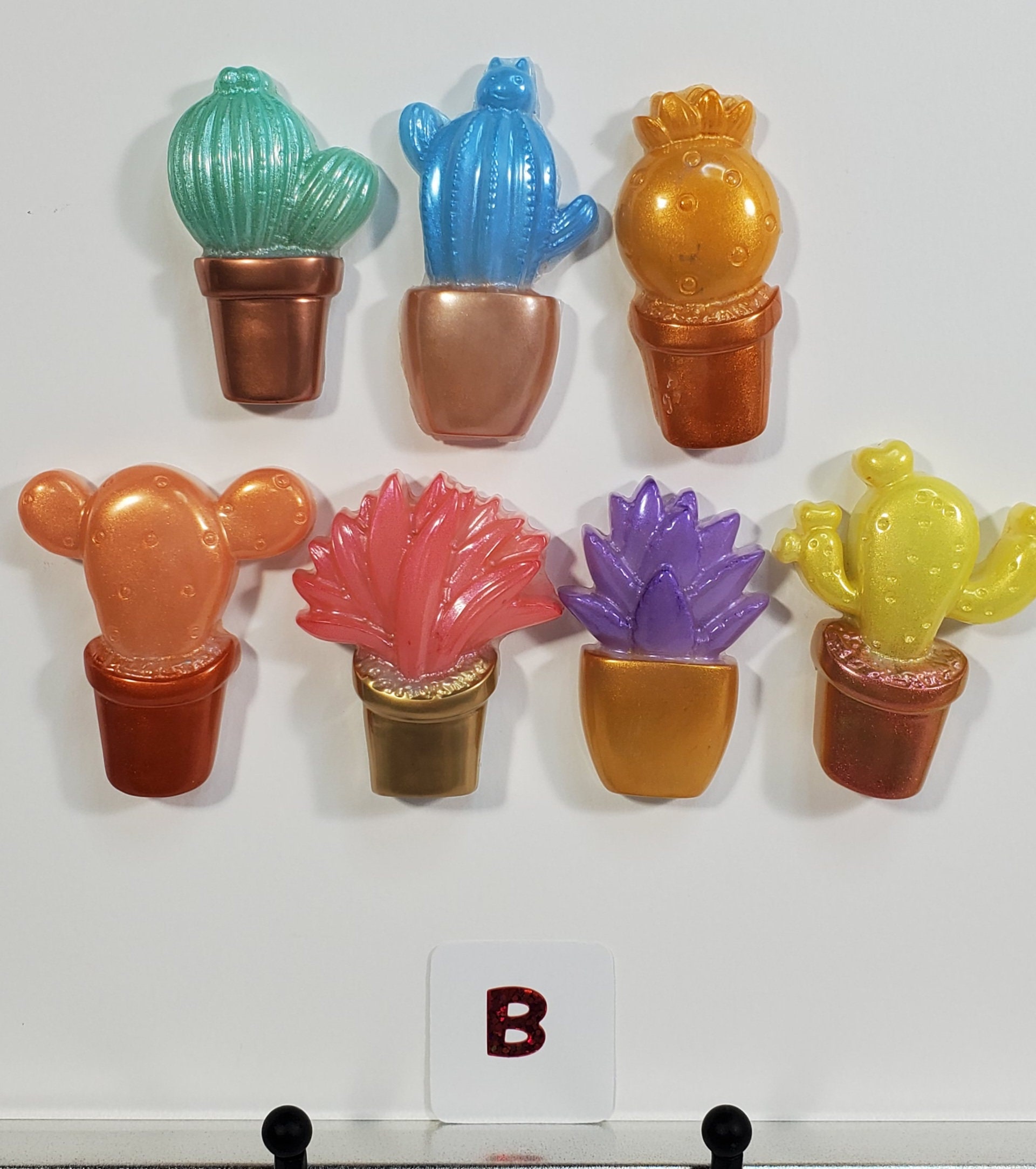 Cactus Magnets, 7 Piece Set, Refrigerator Magnet, Office, Succulent ...