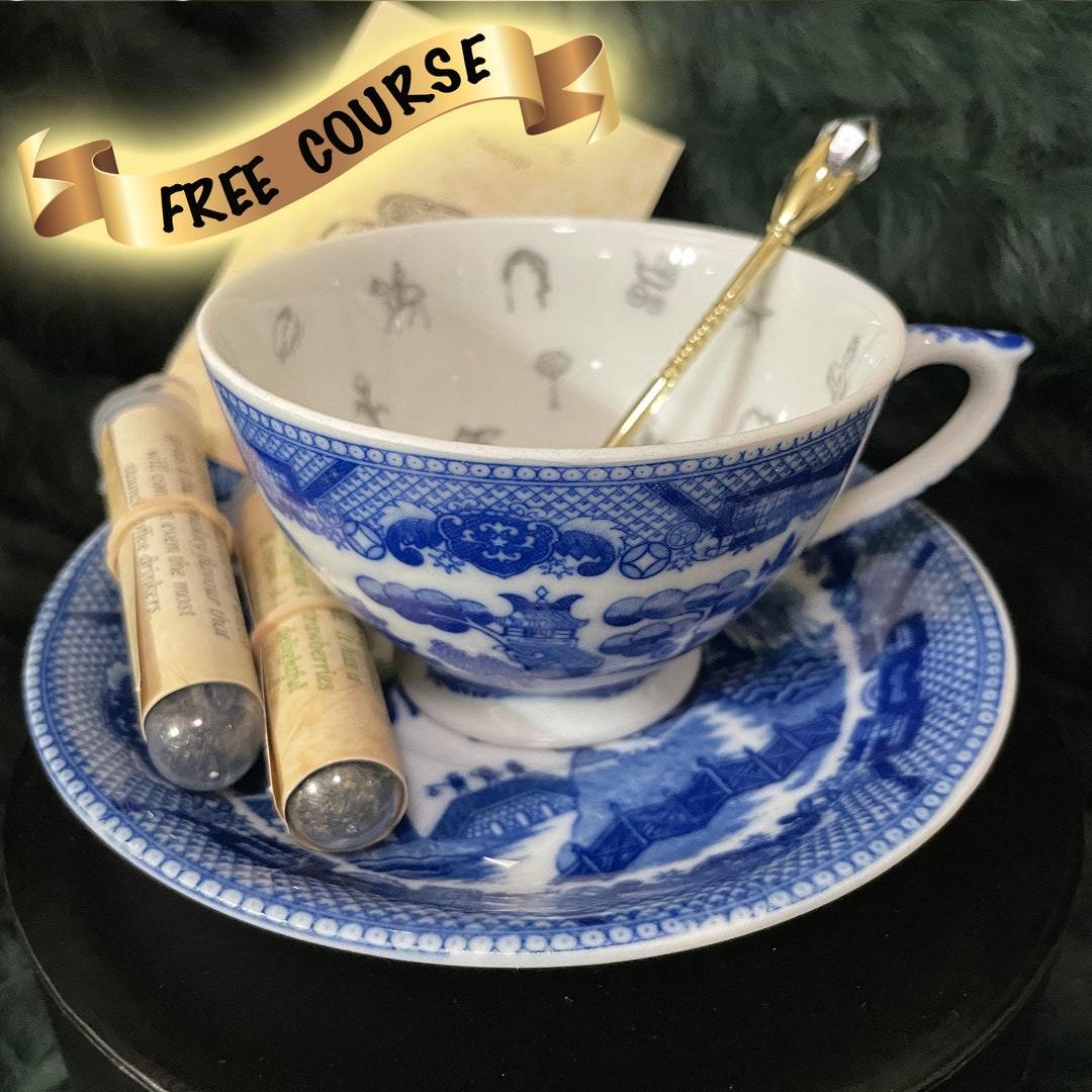 Blue Willow Pattern Tea Cup and Saucer Set. Gift for Friend - Etsy