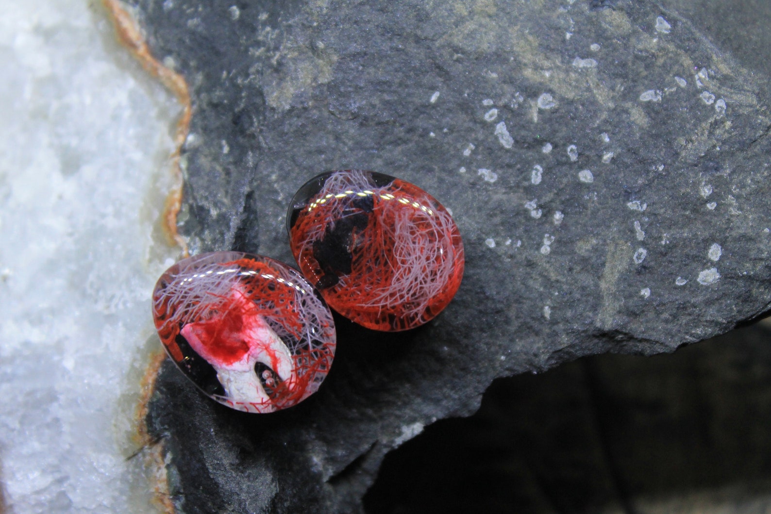 Bloody Ear Plugs Horror Teardrop Gauge Real Teeth Plugs - Etsy