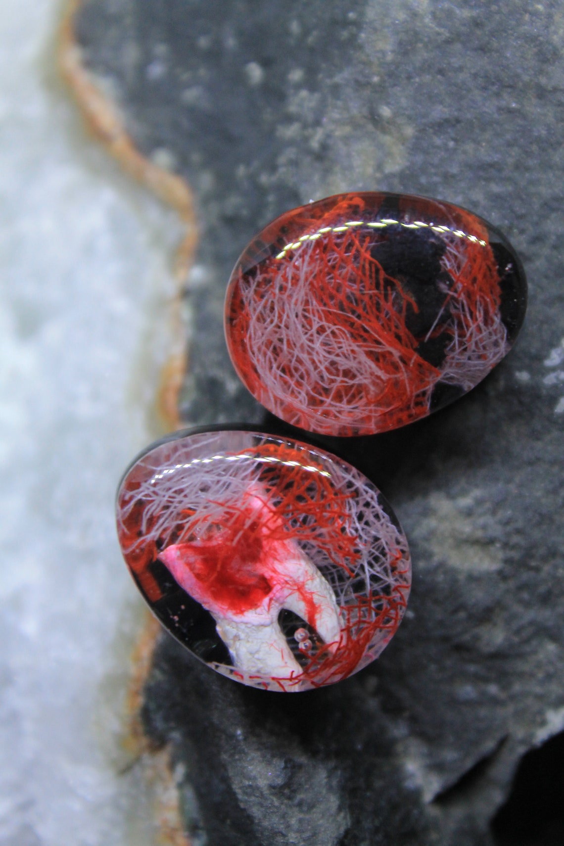 Bloody Ear Plugs Horror Teardrop Gauge Real Teeth Plugs - Etsy