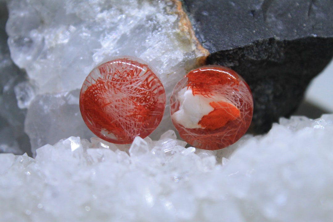 Real Teeth Plugs Blood Plugs Horror Gauges Teeth Plugs Ear Plugs Goth ...