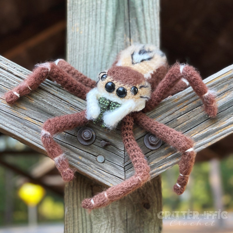 Jumping Spider Amigurumi Crochet Pattern Scoot the Phidippus - Etsy UK