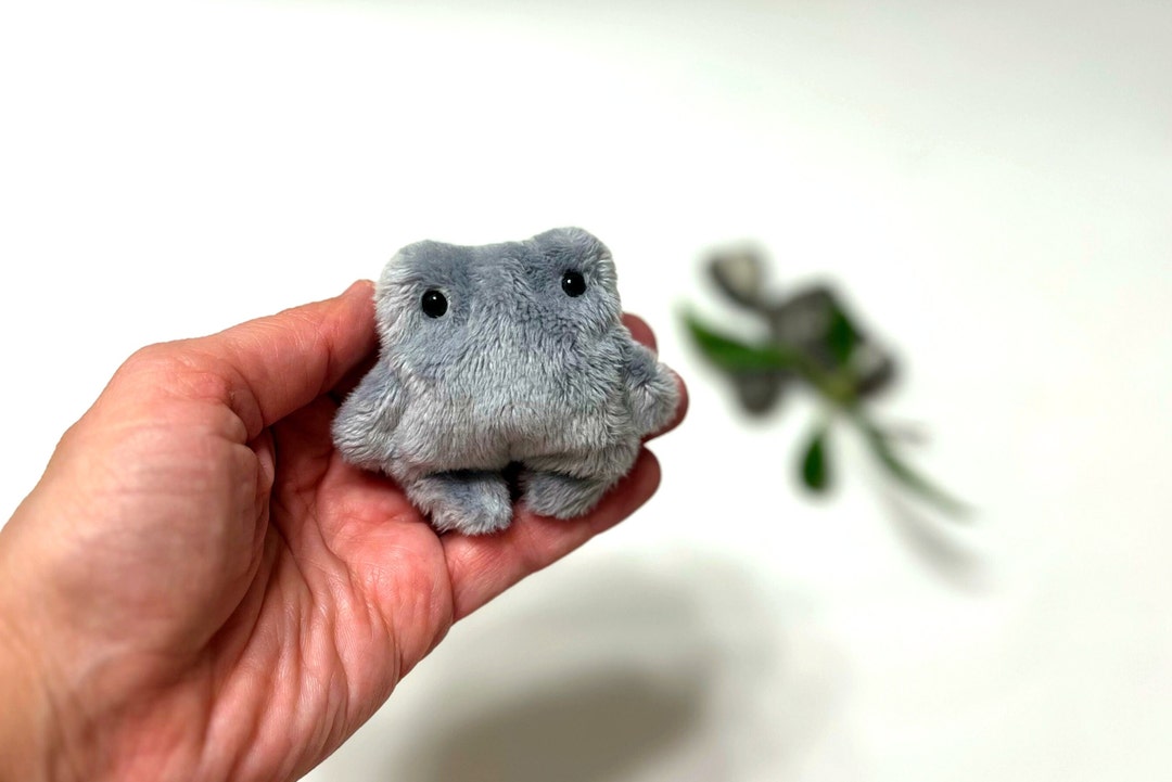 Pocket Frog Plush Toy: Worry Pet, Travel Companion, Sensory Fidget ...