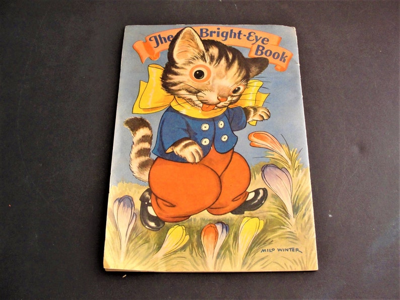 The Bright Eye Book by Milo Winters- Published: Rueben H Lilja & Co ...
