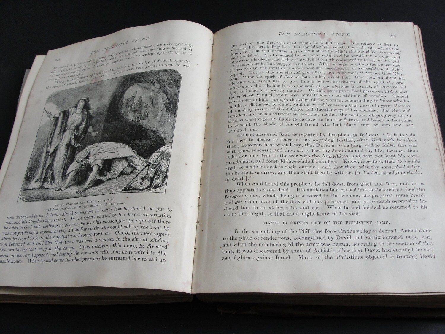 The Beautiful Story: A Companion Book to the Holy - Etsy