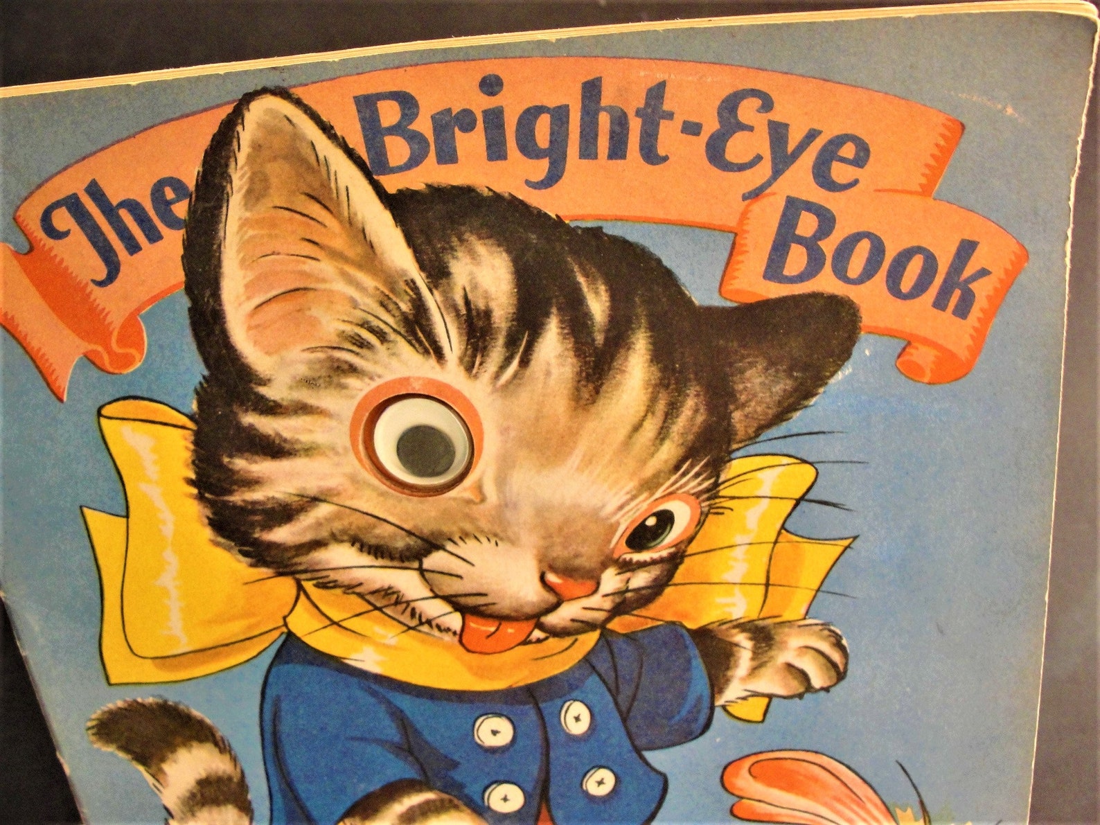 The Bright Eye Book by Milo Winters- Published: Rueben H Lilja & Co ...