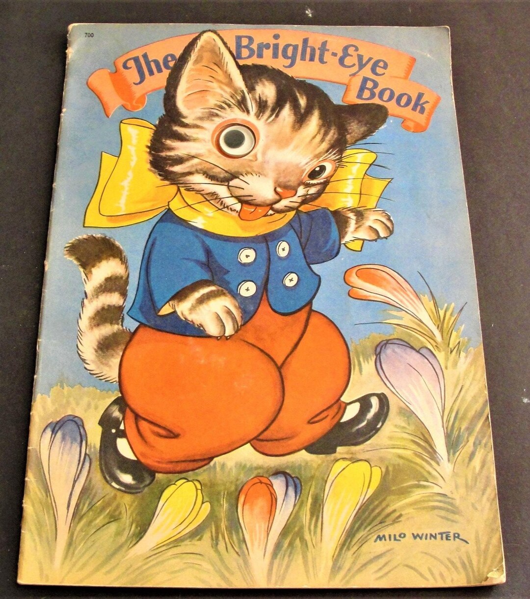 Vintage 1941 the Bright-eye Book – Milo Winters Children’s Book - Etsy