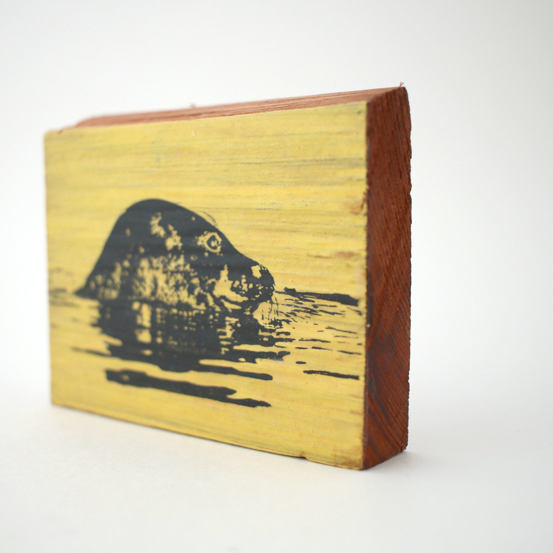 Hawaiian Monk Seal Art Yellow Art Animal Art Wildlife Art - Etsy