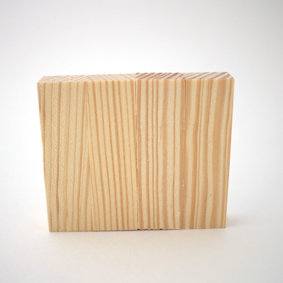 Hawaiian Monk Seal Art, Seal Art, Hawaiian Art, Animal Art, Wildlife ...