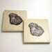 Set of 2 Silver Rock Coasters, Rock Coasters, Geology Coasters, Orange ...