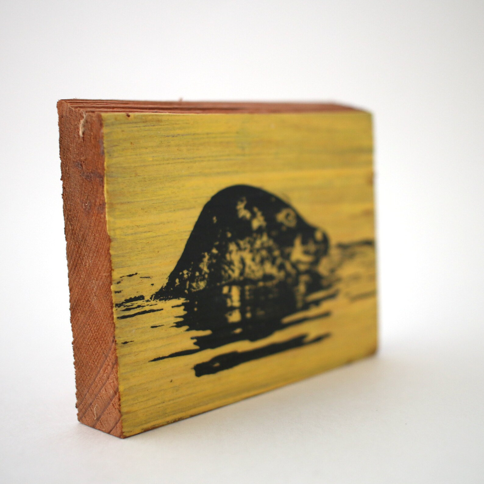 Hawaiian Monk Seal Art Yellow Art Animal Art Wildlife Art - Etsy