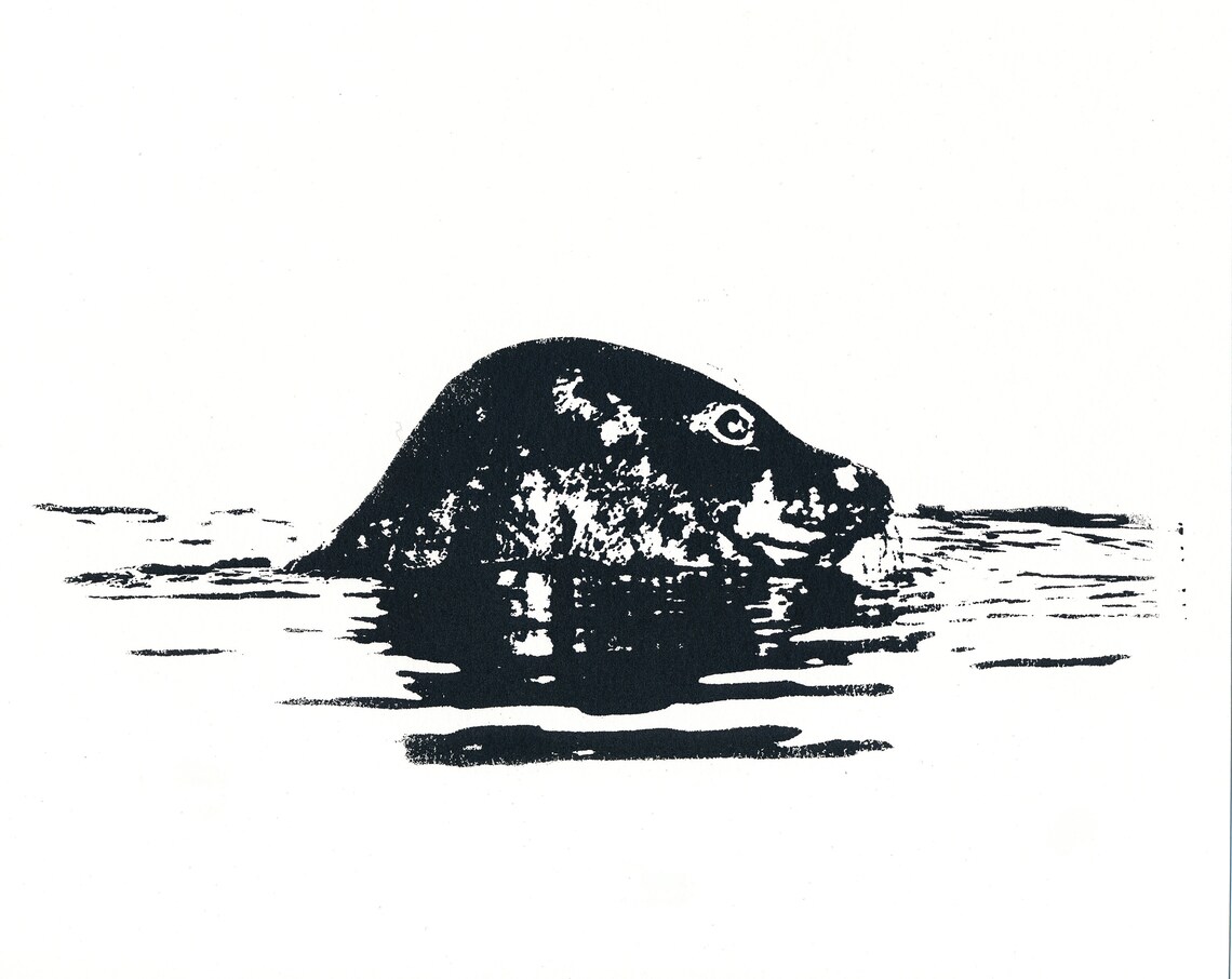 Hawaiian Monk Seal Art Wildlife Art Animal Art Screen Print - Etsy