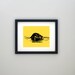 Hawaiian Monk Seal Art Wildlife Art Animal Art Screen Print - Etsy
