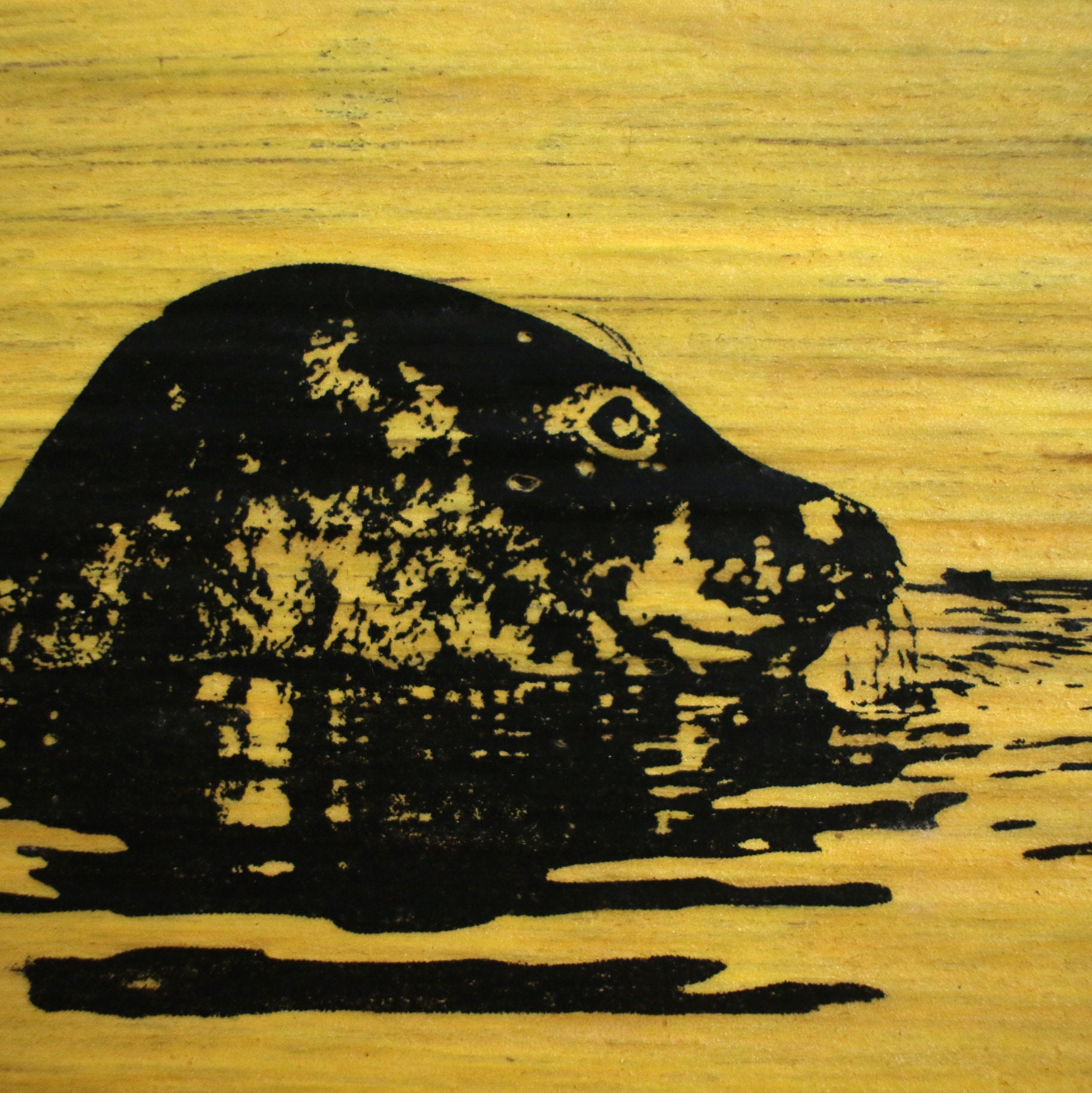 Hawaiian Monk Seal Art Yellow Art Animal Art Wildlife Art - Etsy