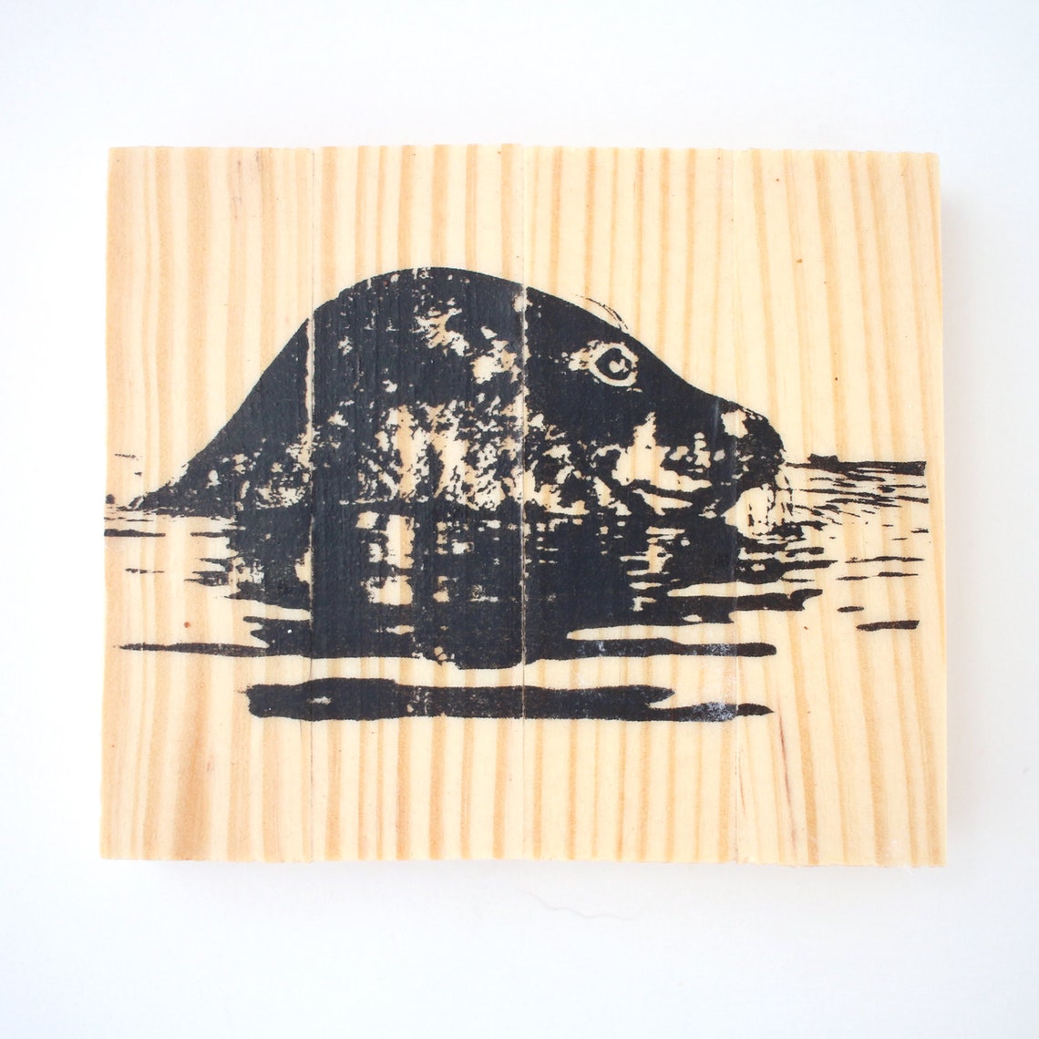 Hawaiian Monk Seal Art, Seal Art, Hawaiian Art, Animal Art, Wildlife ...