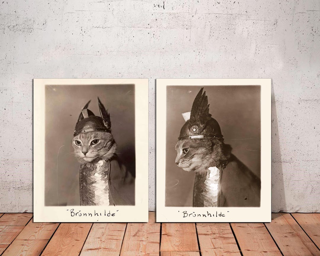 Set of 2 - Valkyrie Brunnhilde Cat Vintage Photo Print, Antique Cat ...