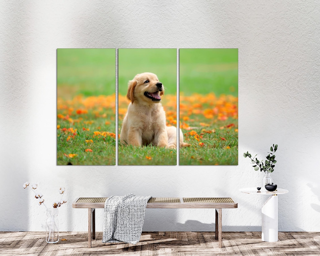 Custom 3-panel Canvas Print: Photo to Framed Wall Art - Etsy