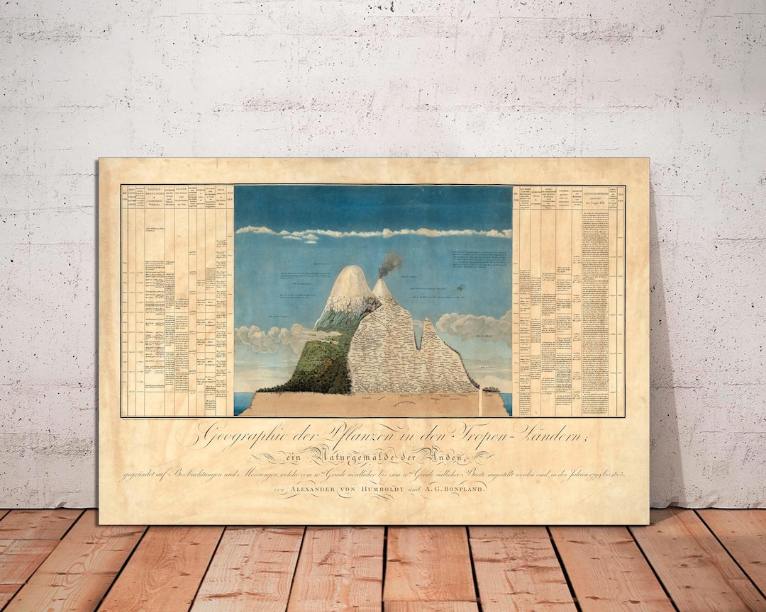 Alexander Von Humboldt: Geography of Plants Vintage Canvas Print - Etsy