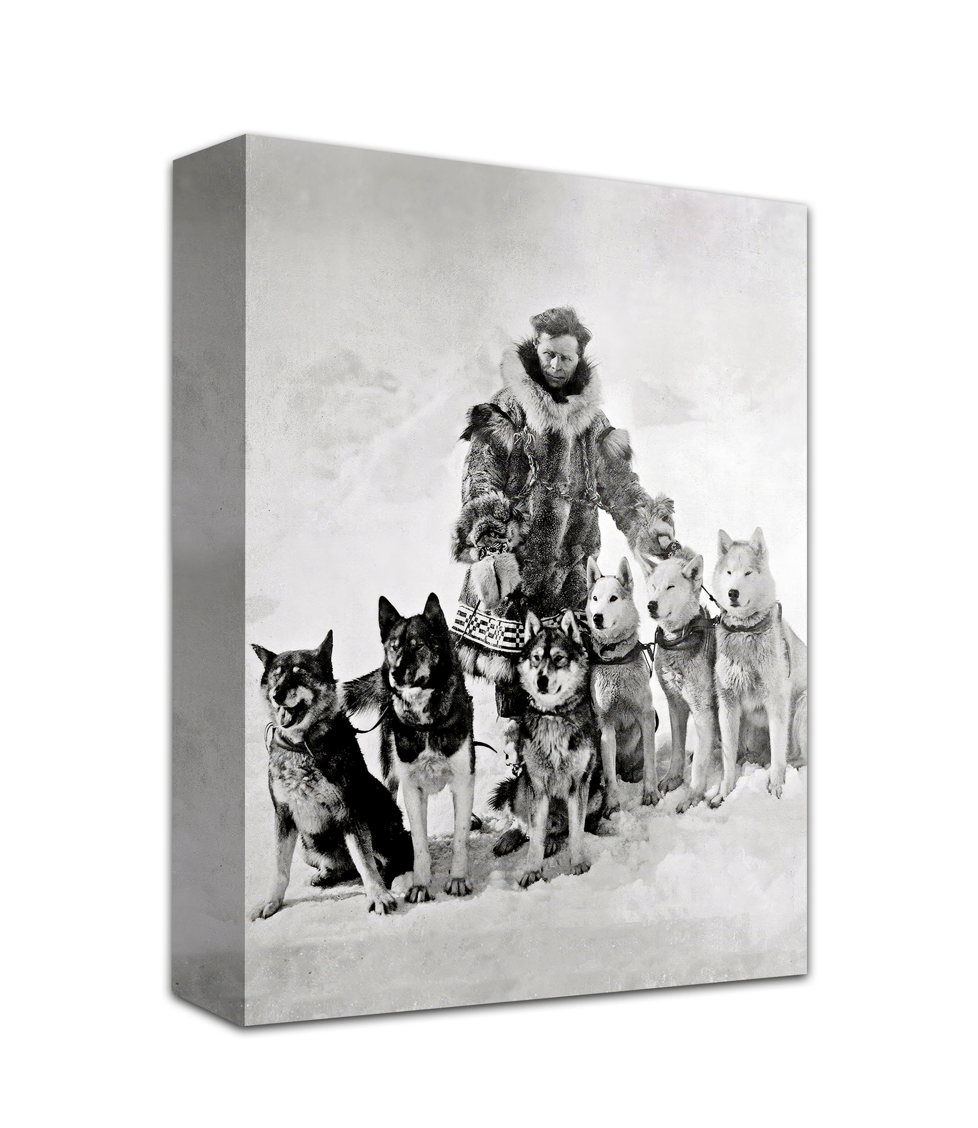 Balto Siberian Husky Canvas Print: Leonhard Seppala, Alaska Decor - Etsy