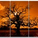 3 Panel Split Forest Canvas Print, Beautiful Tree Middle of Field . for ...