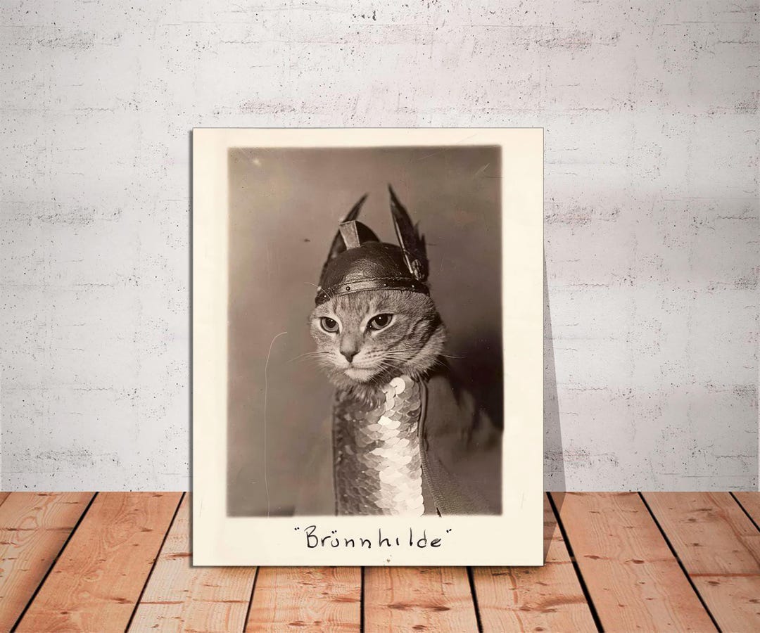 Valkyrie Brunnhilde Cat Vintage Photo: Museum Quality Canvas Art - Etsy