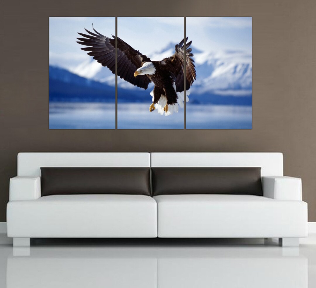 Photo of a Falcon Flying Printed on a Canvas. Eagle, Falcon, Stretched ...