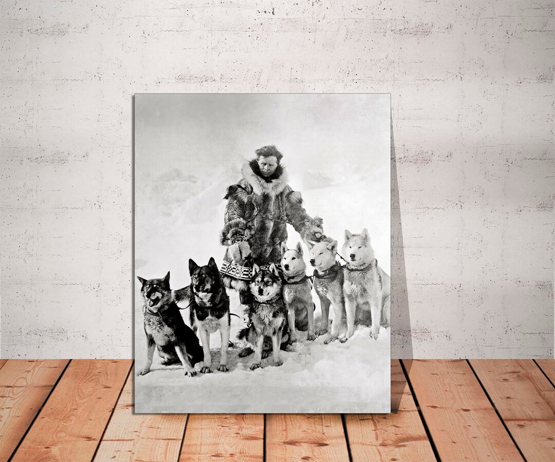 Balto Siberian Husky Canvas Print: Leonhard Seppala, Alaska Decor - Etsy