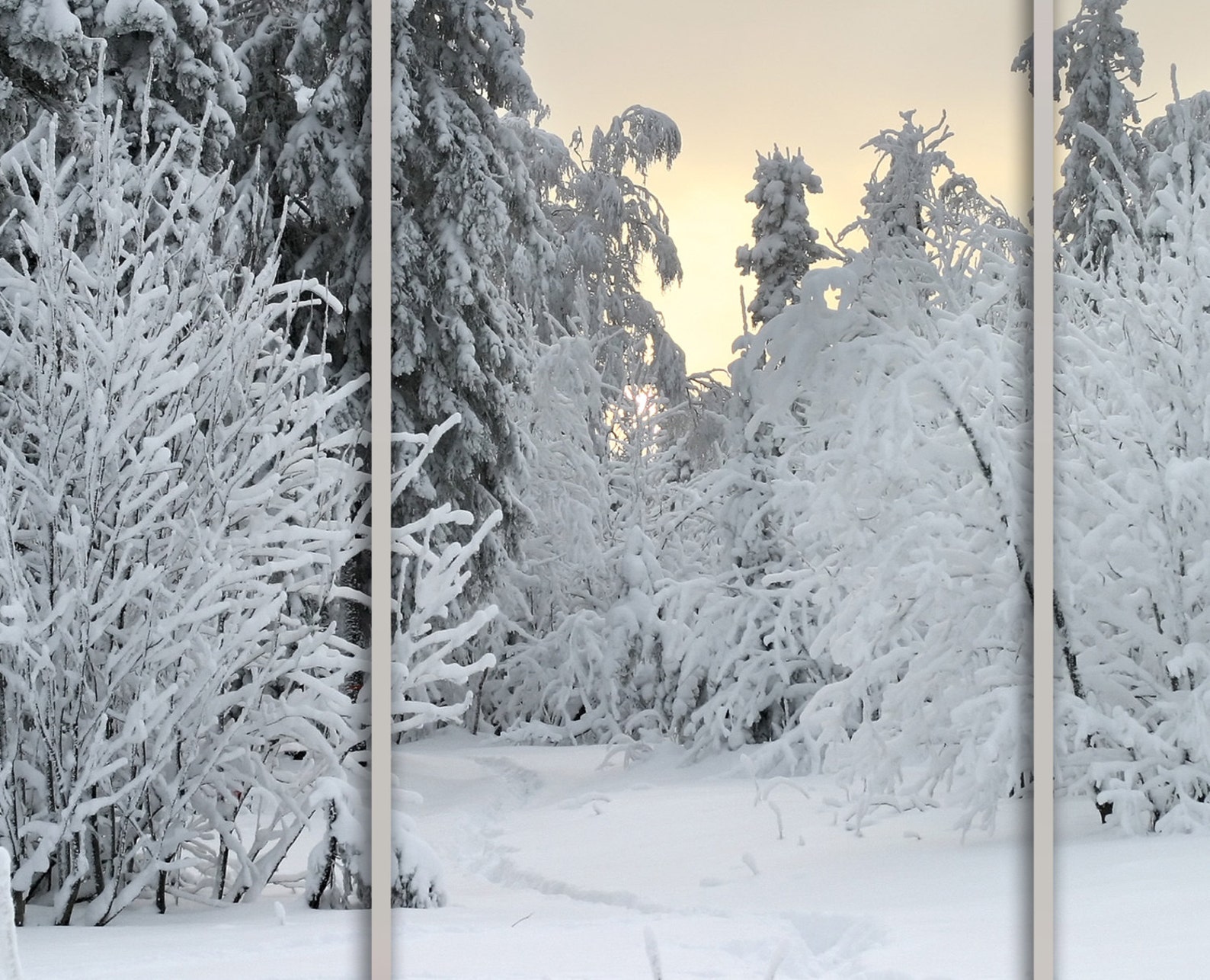 3 Panel Split triptych Canvas Print. Winter Forest Snow | Etsy