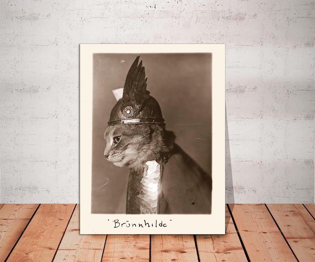 Valkyrie Brunnhilde Cat Vintage Photo: Museum Quality Canvas Art - Etsy