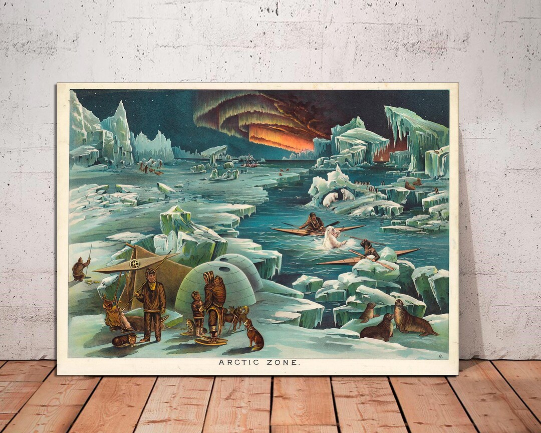 Diagram of the Arctic Zone, Educational Wall Art, Urban Environment ...
