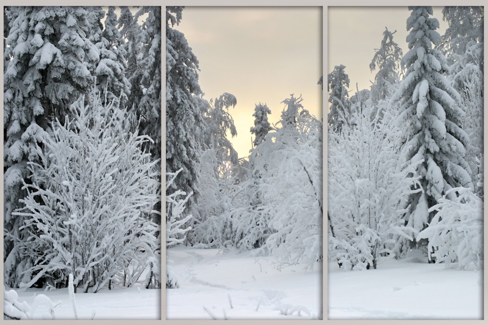 3 Panel Split triptych Canvas Print. Winter Forest Snow | Etsy