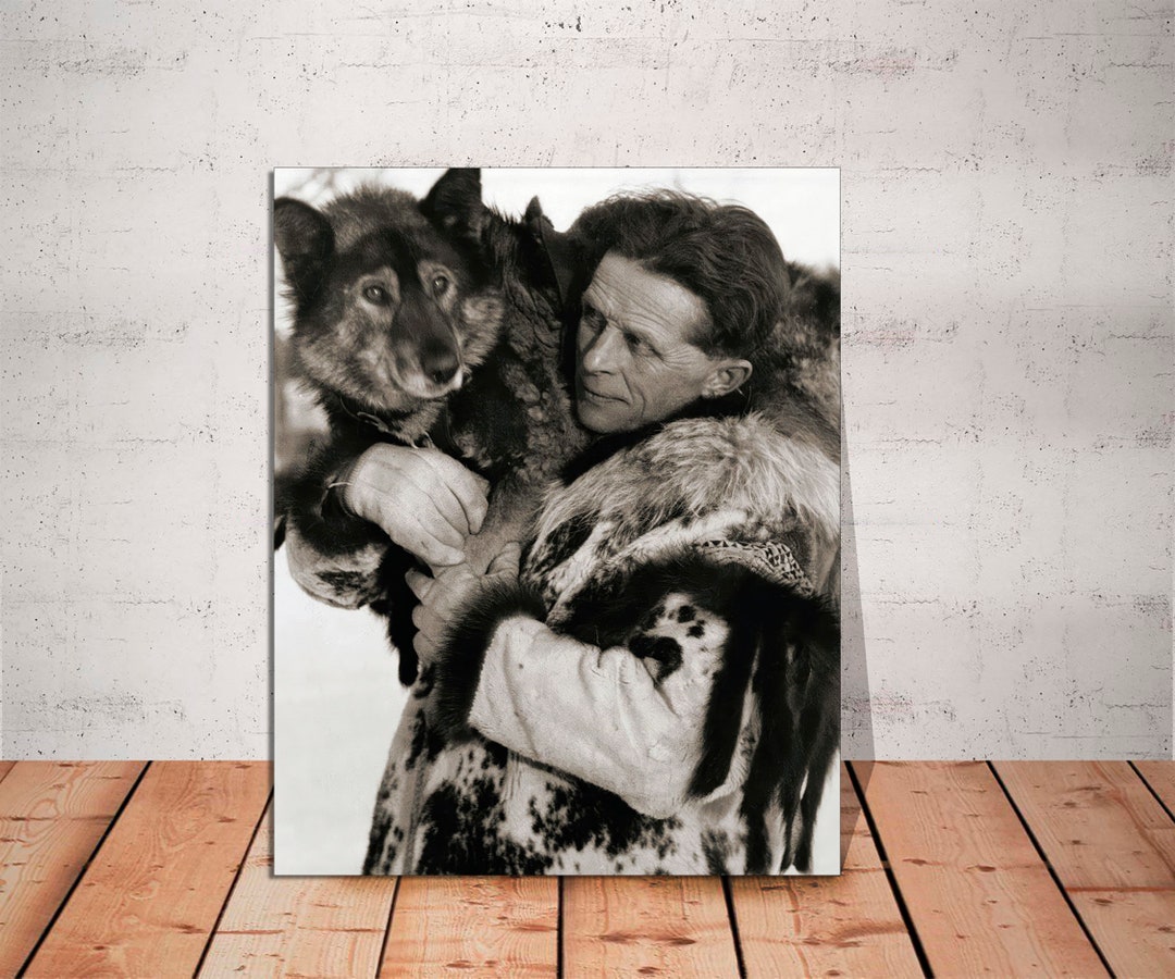 Togo Siberian Husky Canvas Print: Alaska Sled Dog Art, Ready to Hang - Etsy