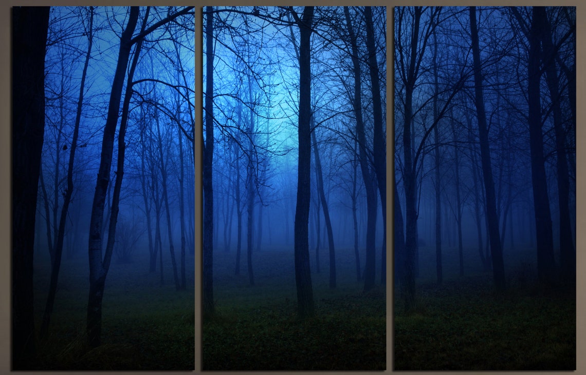 3 Panel Split Trees in the Dark Forest Canvas Print 1.5 - Etsy