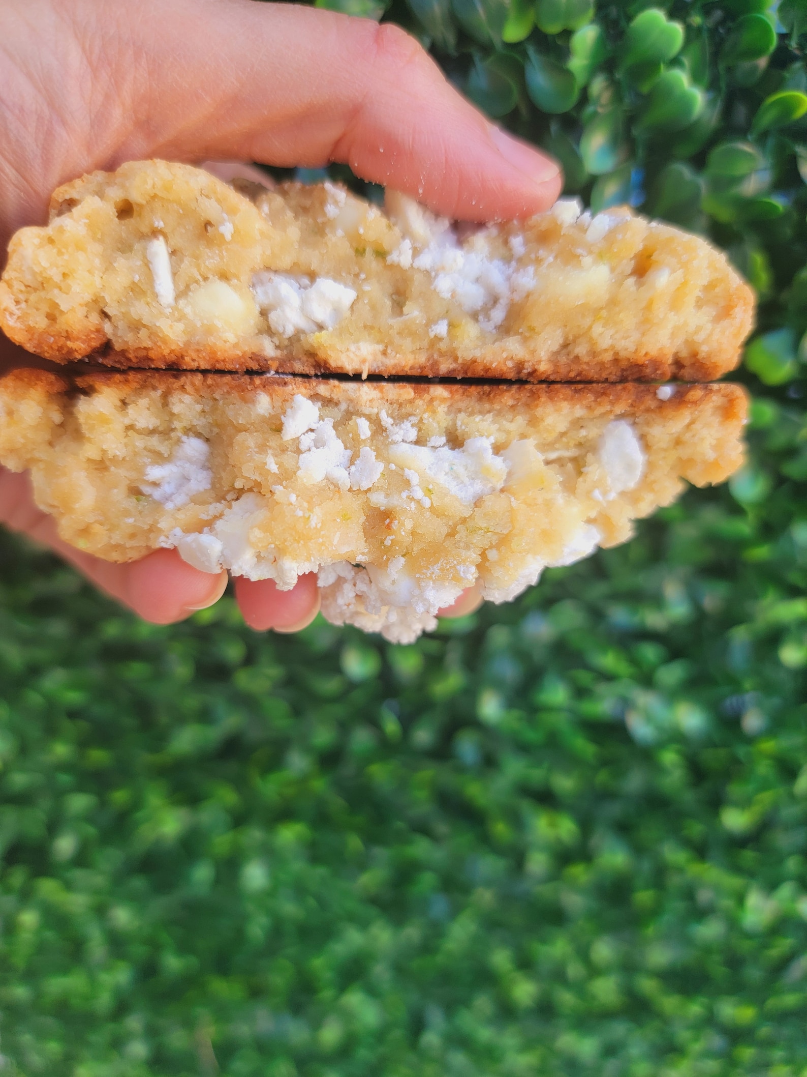 Zesty Meringue Lemon Cookie. Digital Recipe. Gourmet Cookie. New York ...