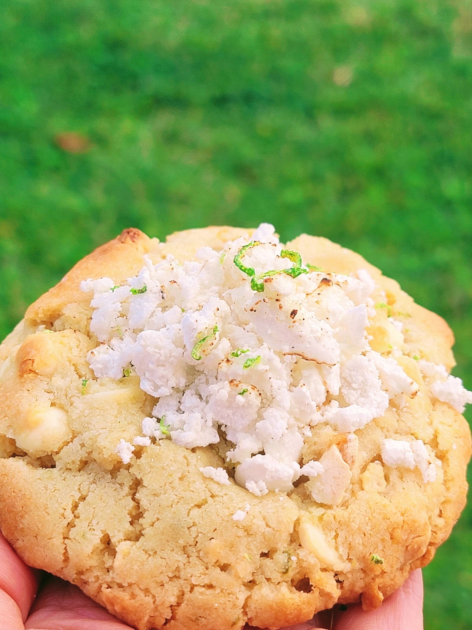 Zesty Meringue Lemon Cookie. Digital Recipe. Gourmet Cookie. New York ...
