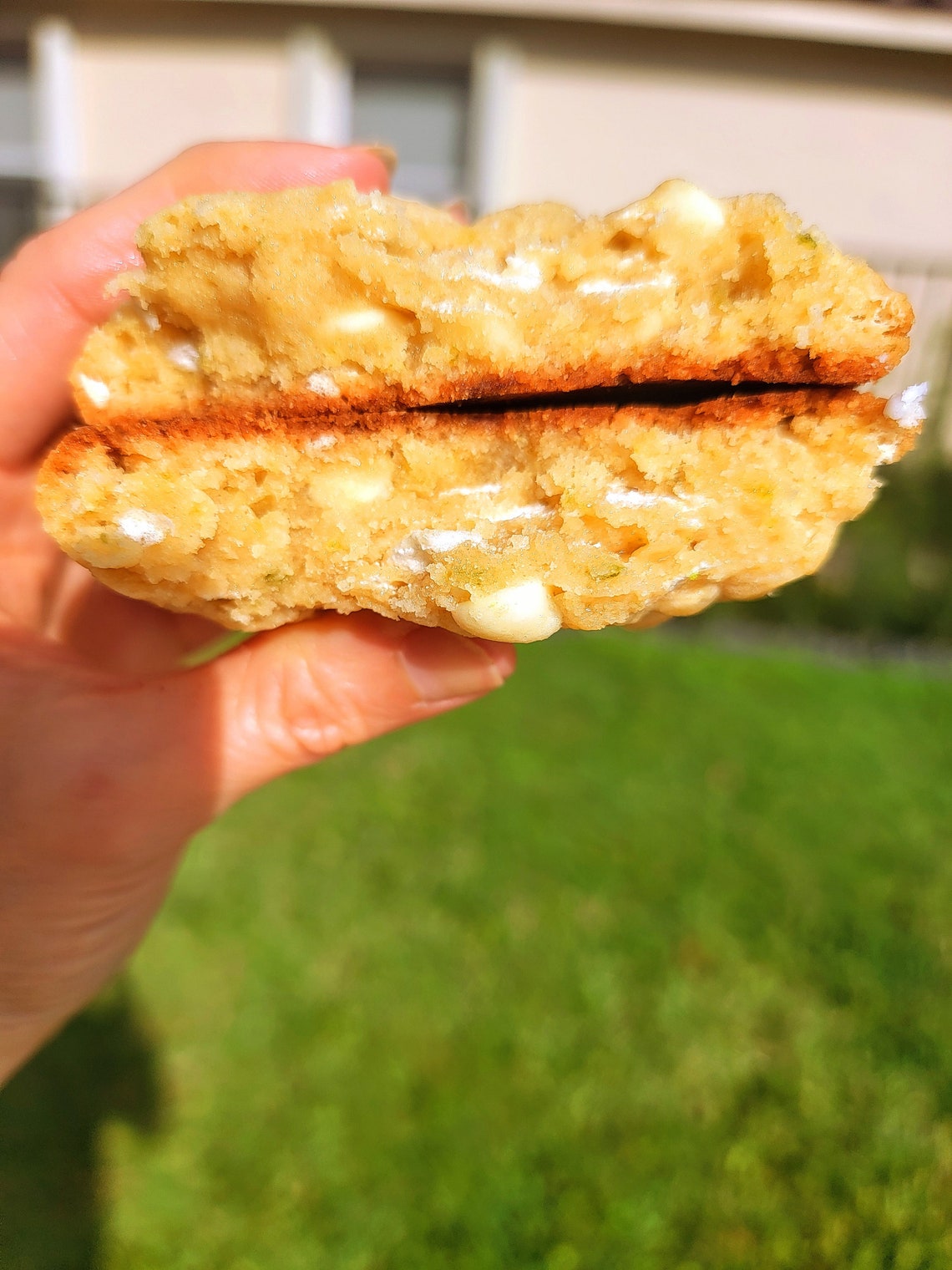 Zesty Meringue Lemon Cookie. Digital Recipe. Gourmet Cookie. New York ...