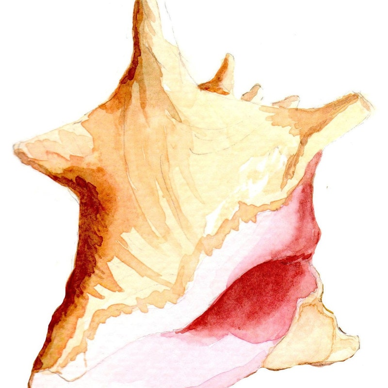 Conch Shell Art - Etsy