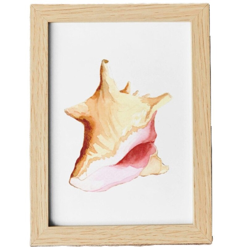 Conch Shell Art - Etsy
