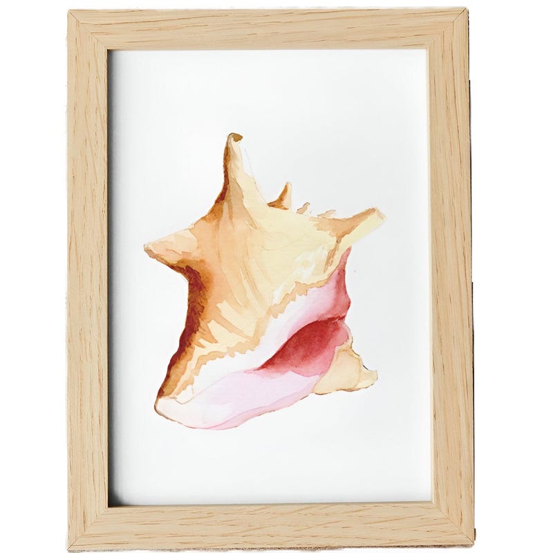 Conch Shell Art - Etsy