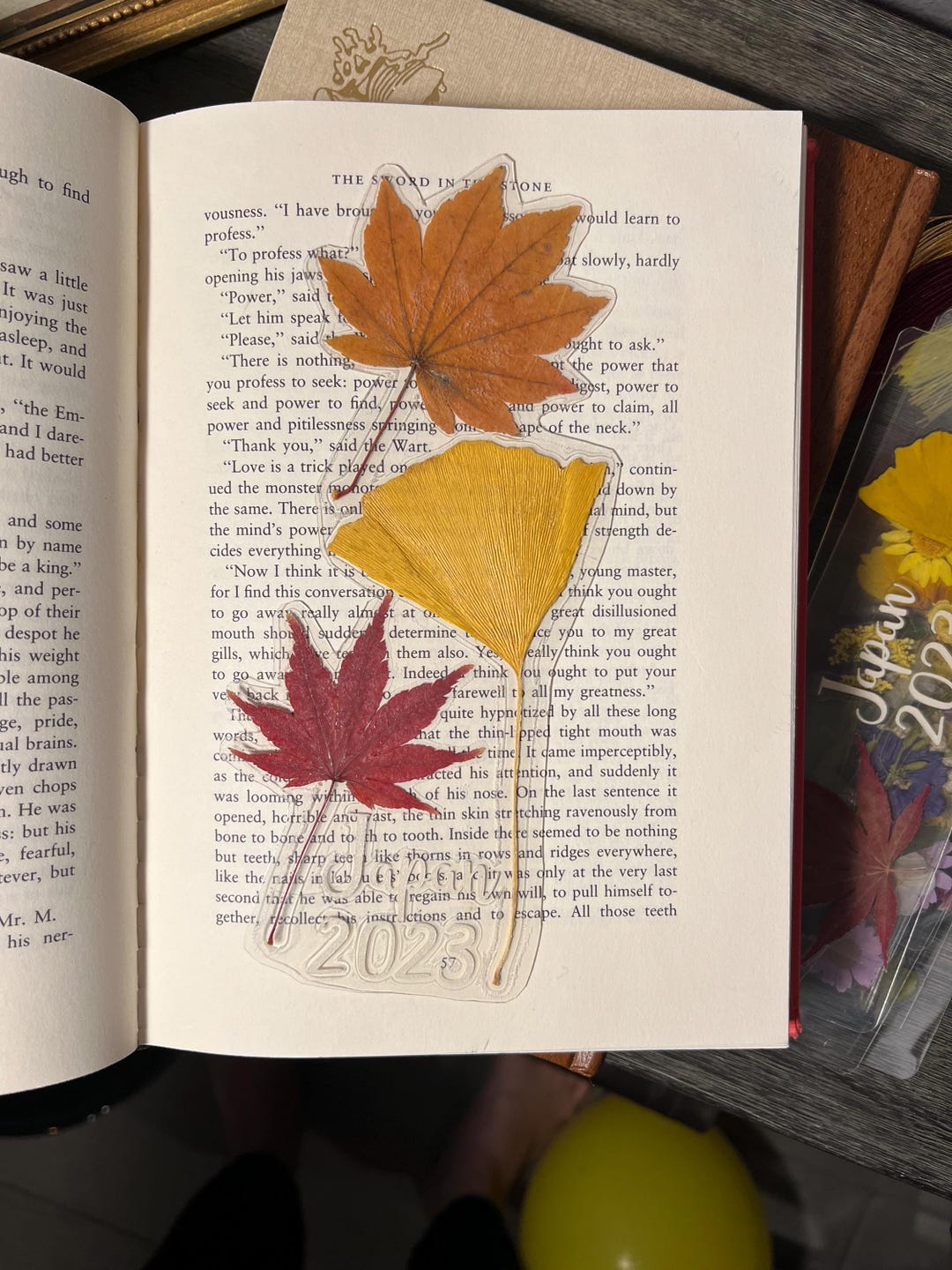 Custom Pressed Flower Bookmark - Laminated Personalized Bookmark - Etsy