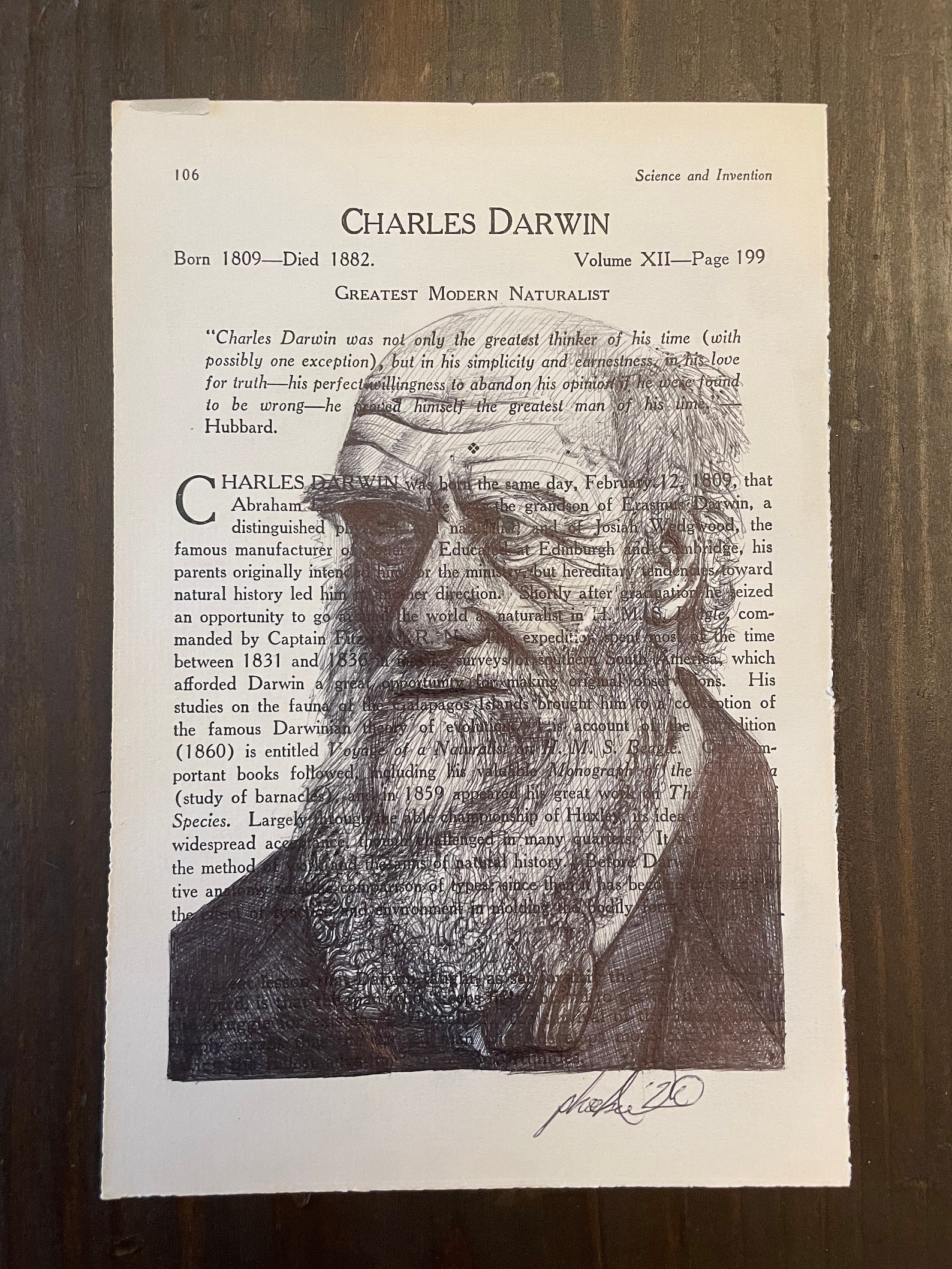 Charles Darwin Original Art Drawing | Etsy