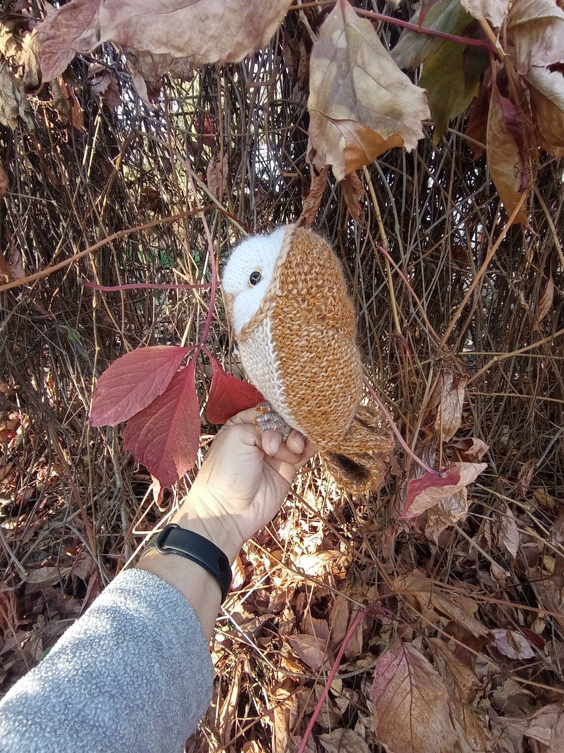 Barn owl Stuffed toy. Cute softly toy for you. Realistic | Etsy