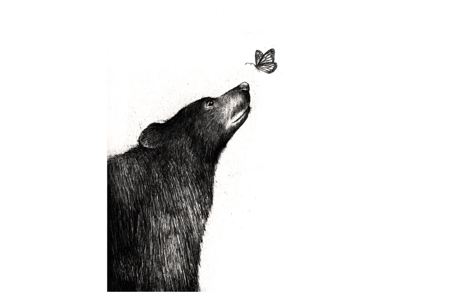 Bear and Butterfly Print - Etsy